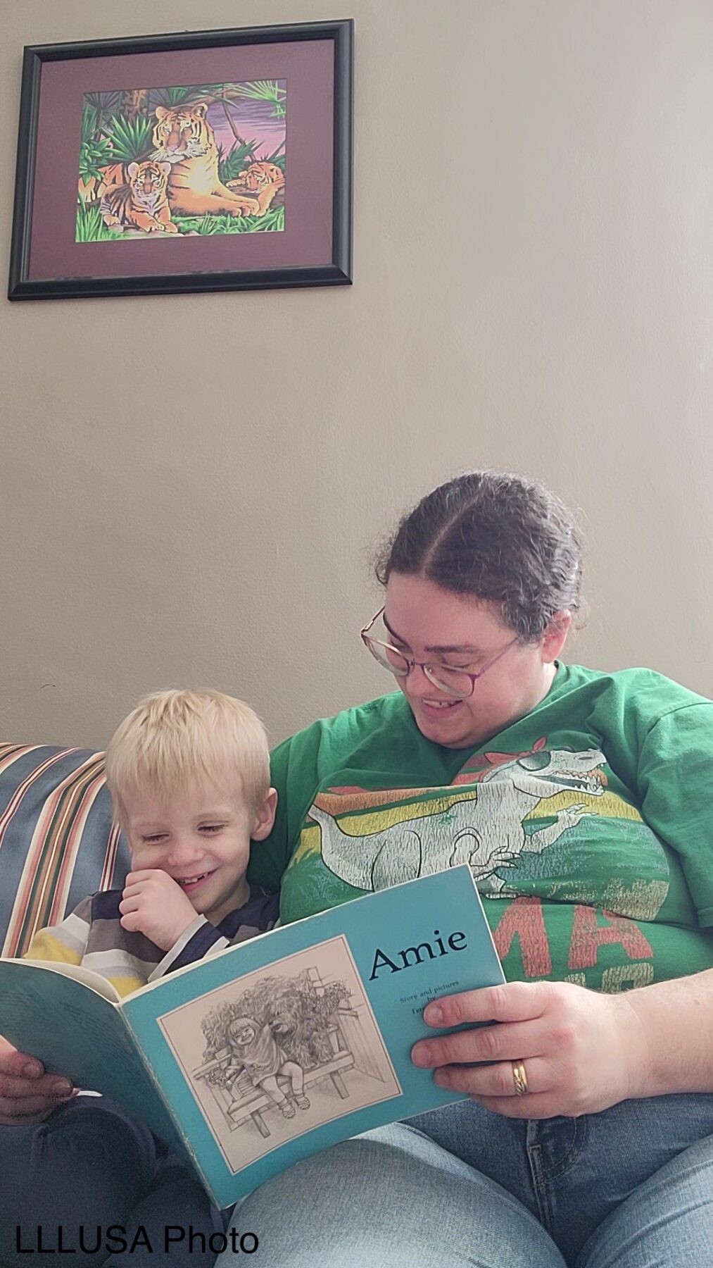 Book Review: Amie, A Nursing Toddler Story - La Leche League USA